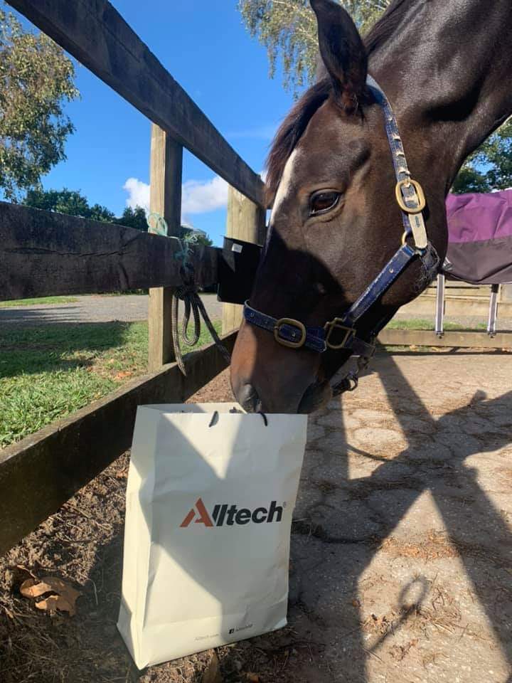 Alltech Sponsors a great bag - New Zealand Friesian Horse Society Inc